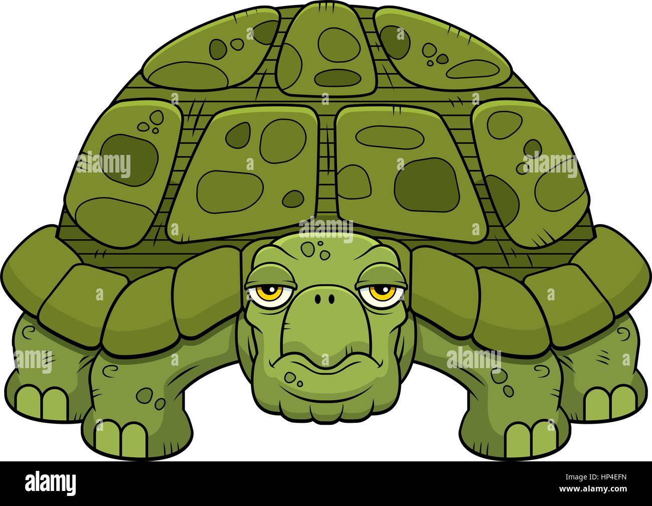 A cartoon green turtle standing and looking Stock Vector Image & Art ...