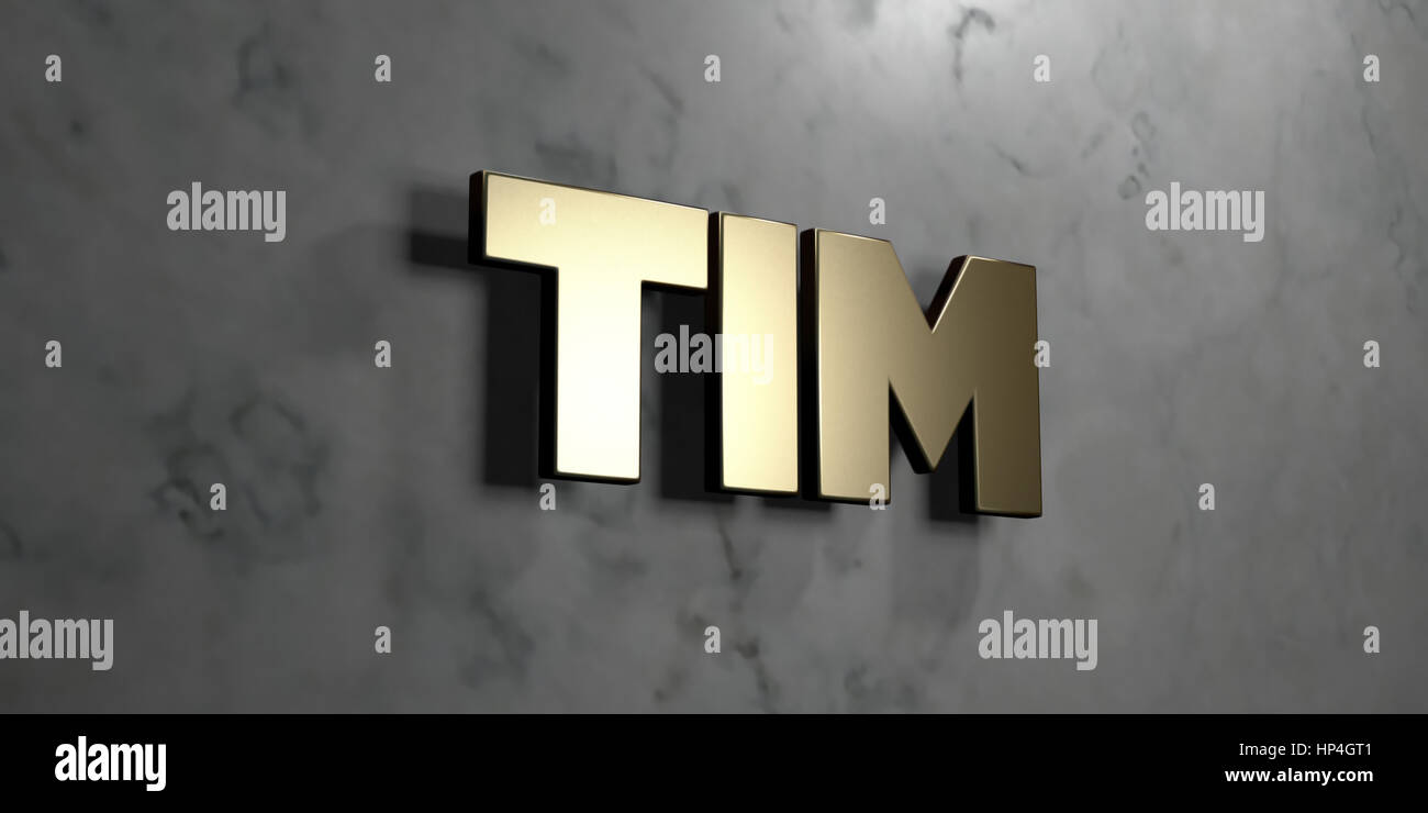 Tim - Gold sign mounted on glossy marble wall - 3D rendered royalty ...