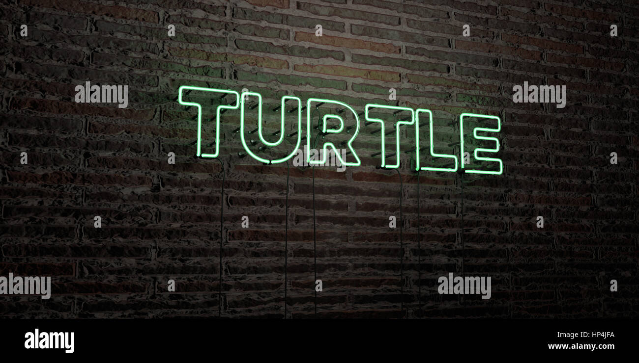 TURTLE -Realistic Neon Sign on Brick Wall background - 3D rendered ...