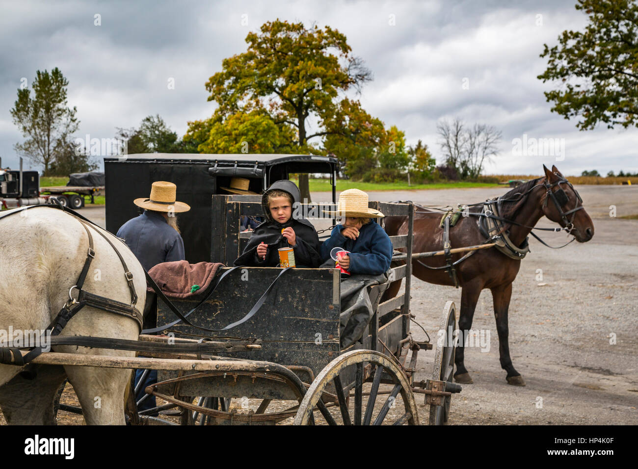 Amish horse and buggies at a hitching post in Dalton, Ohio, USA Stock ...