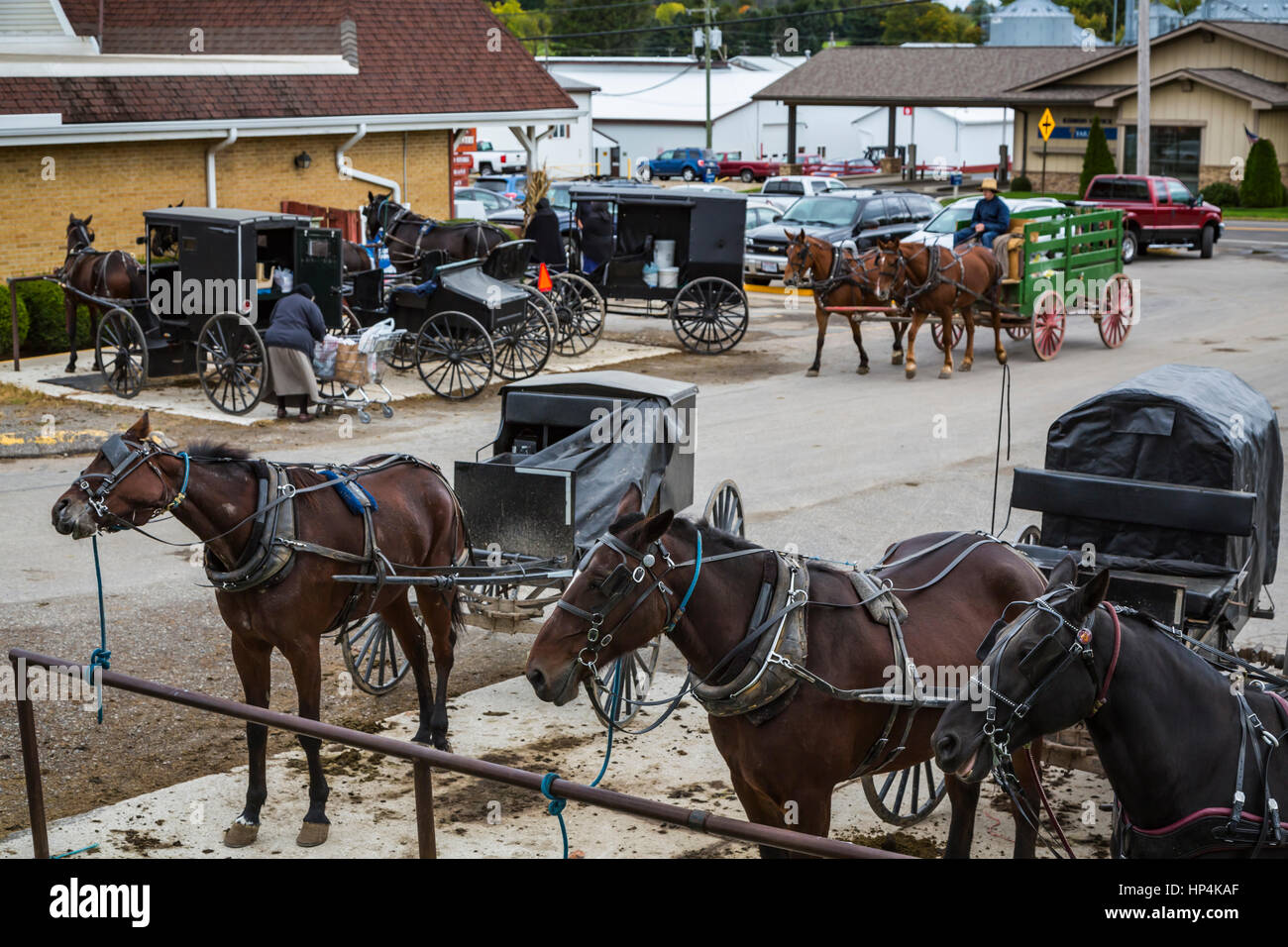 Amish horse and buggies at a hitching post in Dalton, Ohio, USA Stock ...