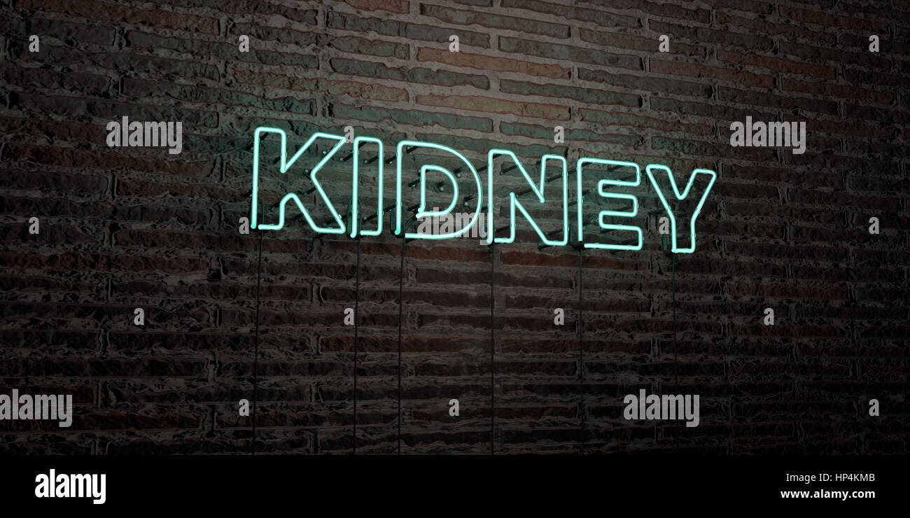 Kidney fluorescent neon tube sign hi-res stock photography and images ...