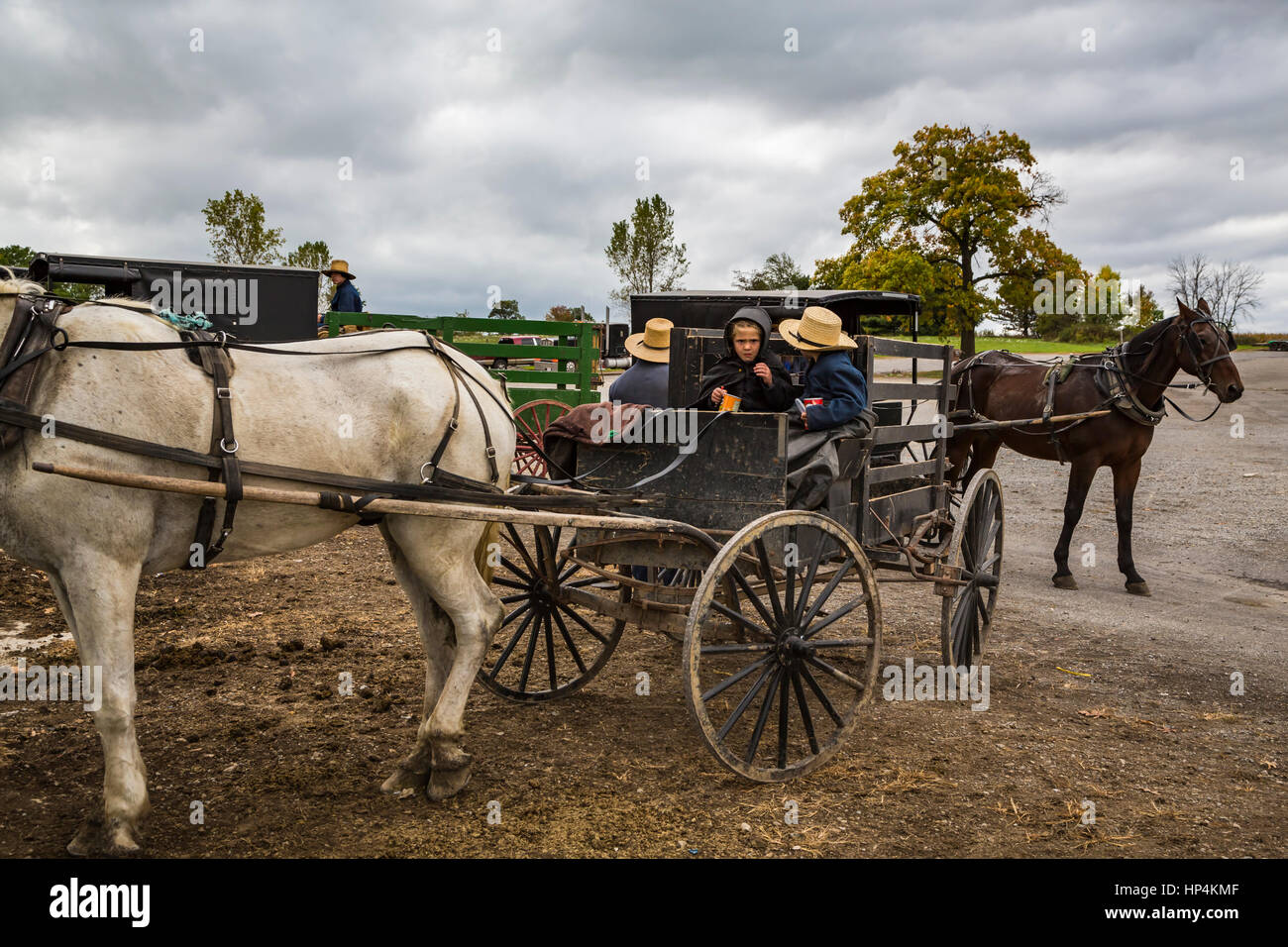 Amish horse and buggies at a hitching post in Dalton, Ohio, USA Stock ...