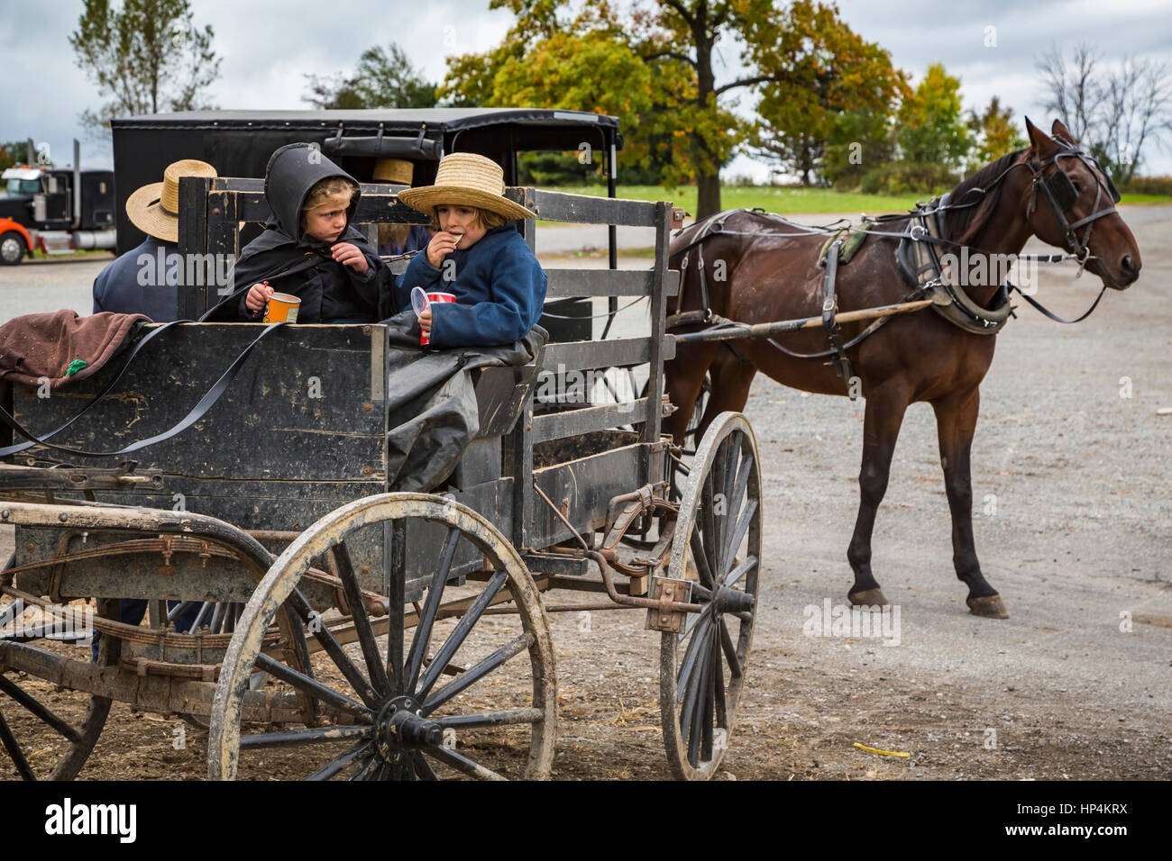Amish horse and buggies at a hitching post in Dalton, Ohio, USA Stock ...