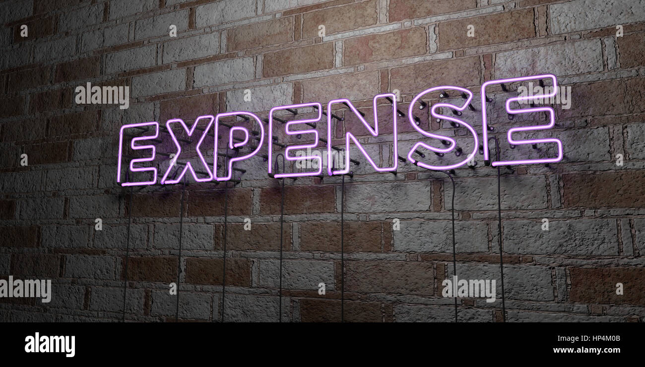 EXPENSE - Glowing Neon Sign on stonework wall - 3D rendered royalty ...