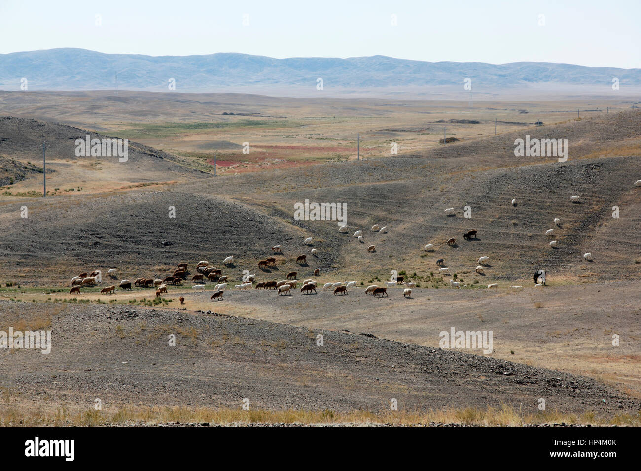 Koktokay hi-res stock photography and images - Alamy