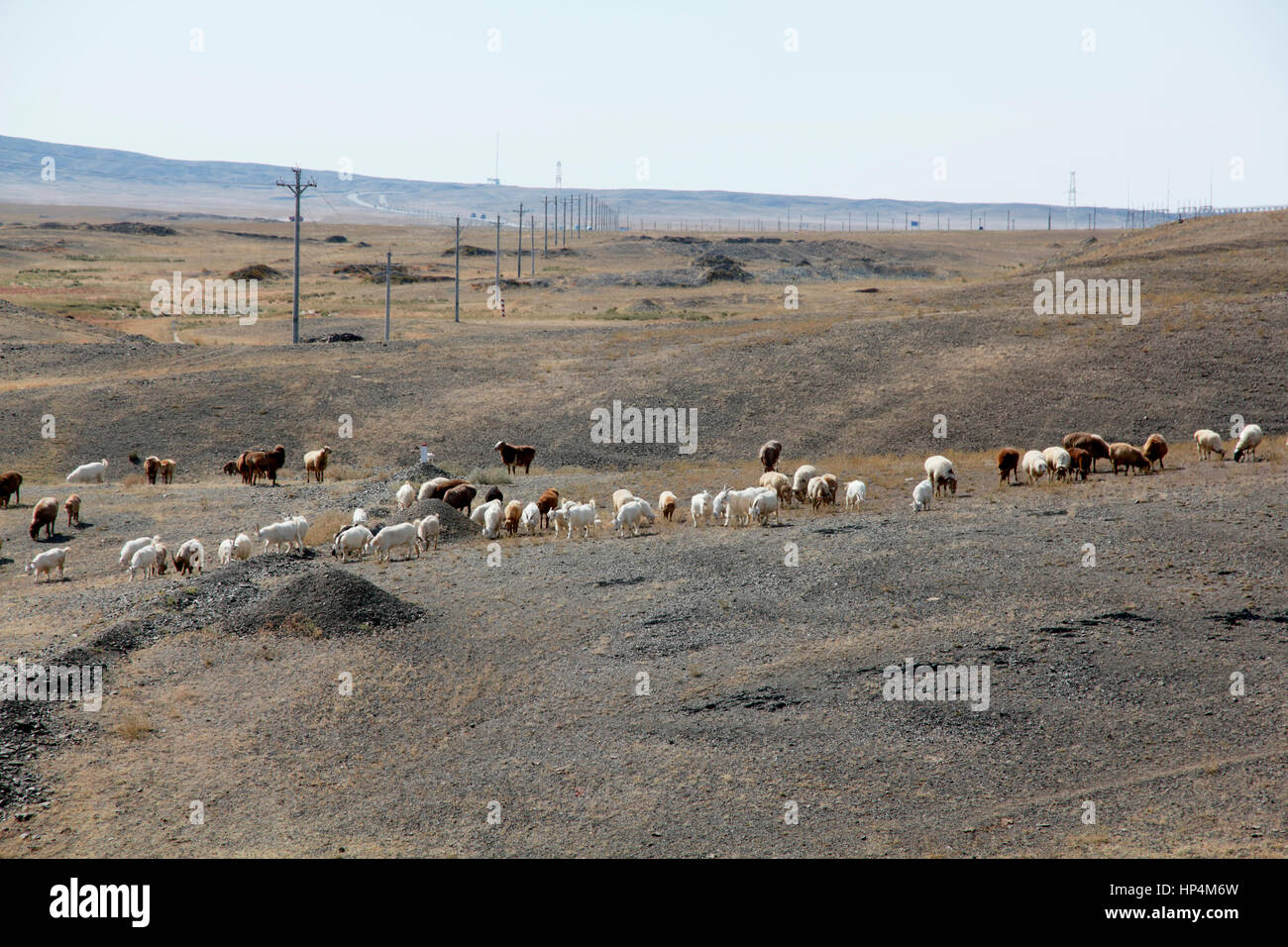 Koktokay hi-res stock photography and images - Alamy