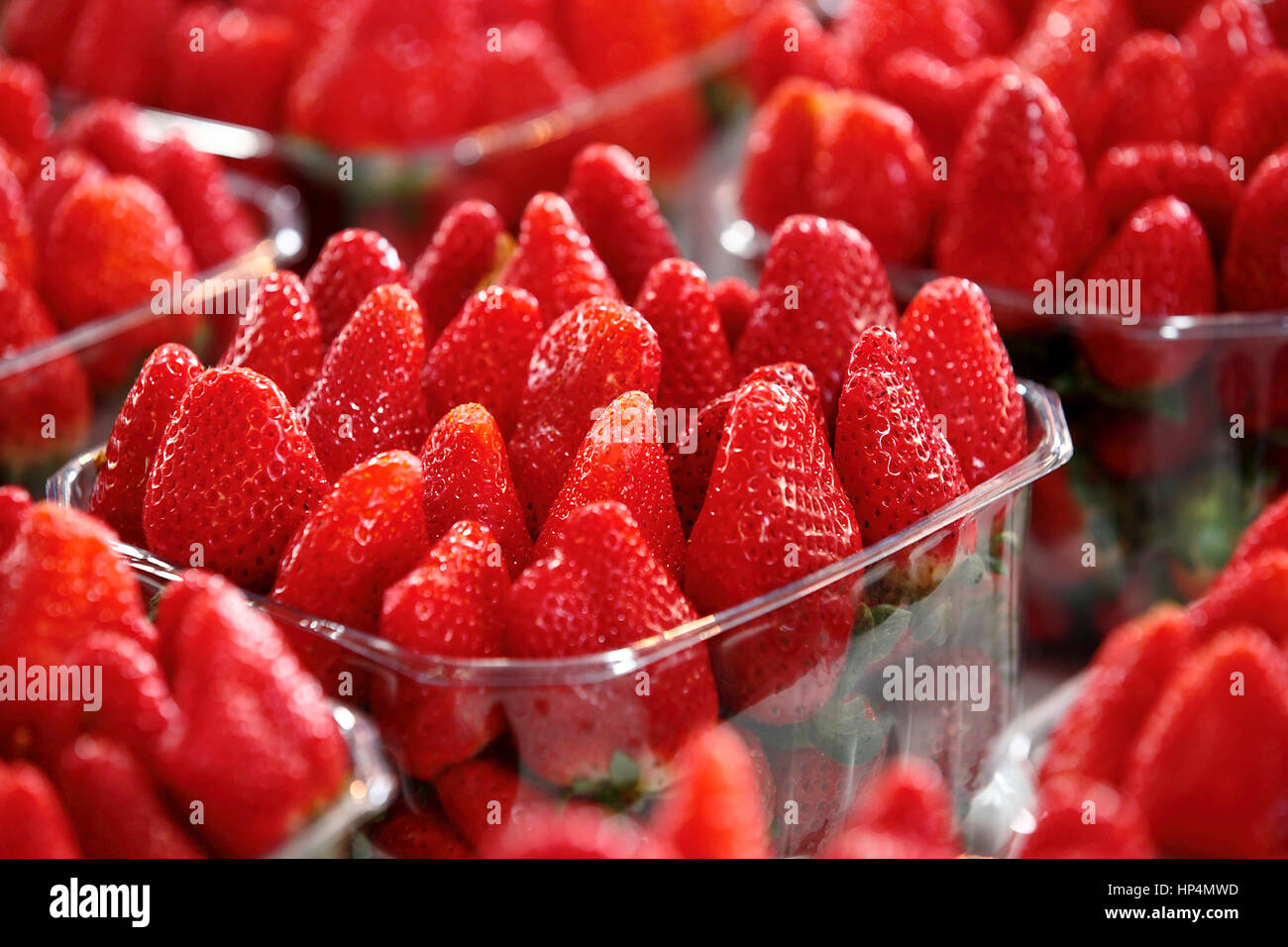 close up fresh israeli strawberries at shop at carmel market, tel aviv ...