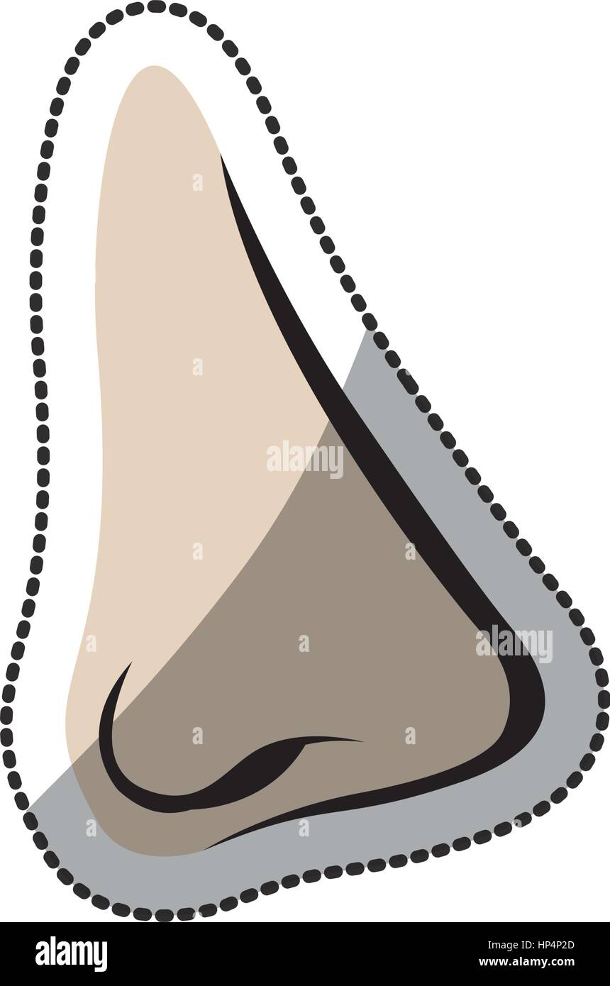 Female Nose Vector
