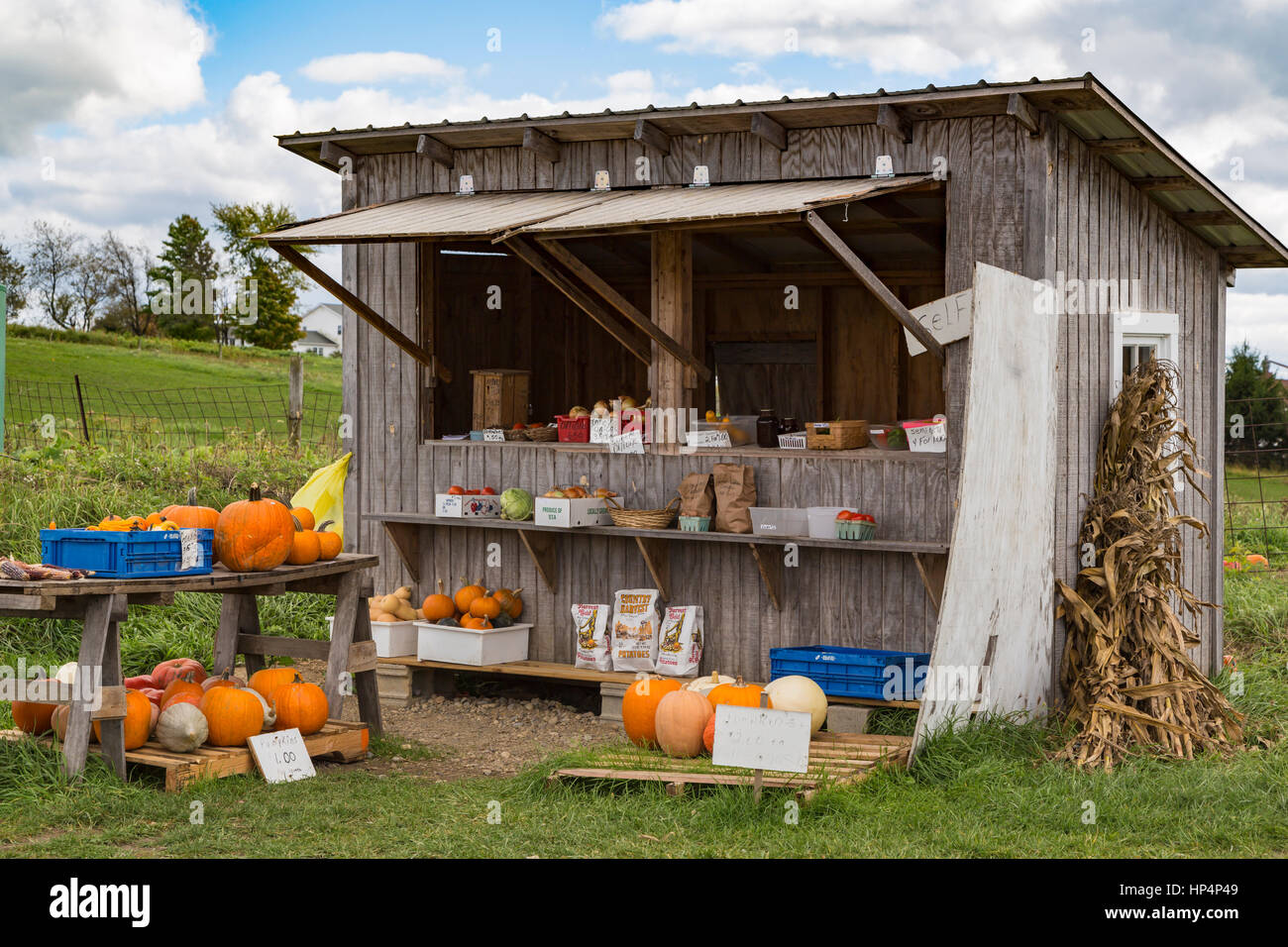 Small Kiosk High Resolution Stock Photography and Images - Alamy