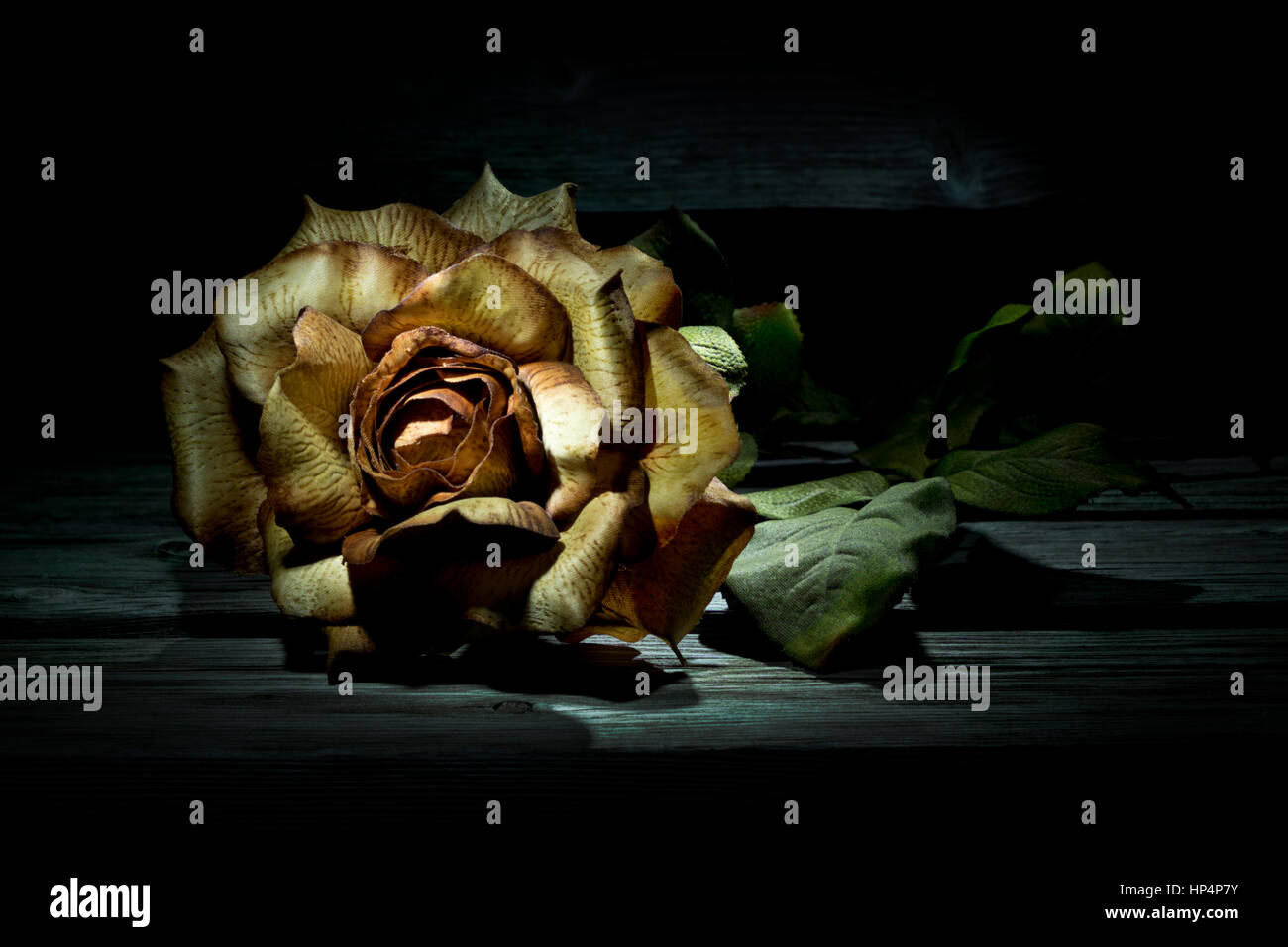 Plastic rose hi-res stock photography and images - Alamy