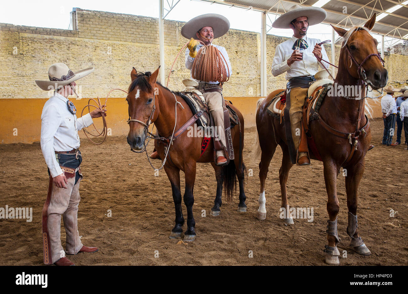 Mexican charros. A charreada Mexican rodeo at the Lienzo Charro Zermeno ...
