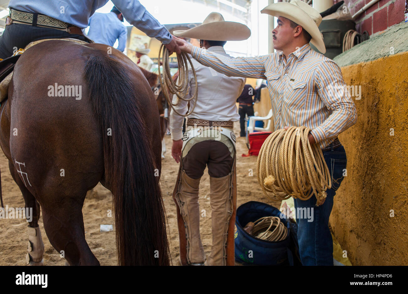 Mexican charros. A charreada Mexican rodeo at the Lienzo Charro Zermeno ...