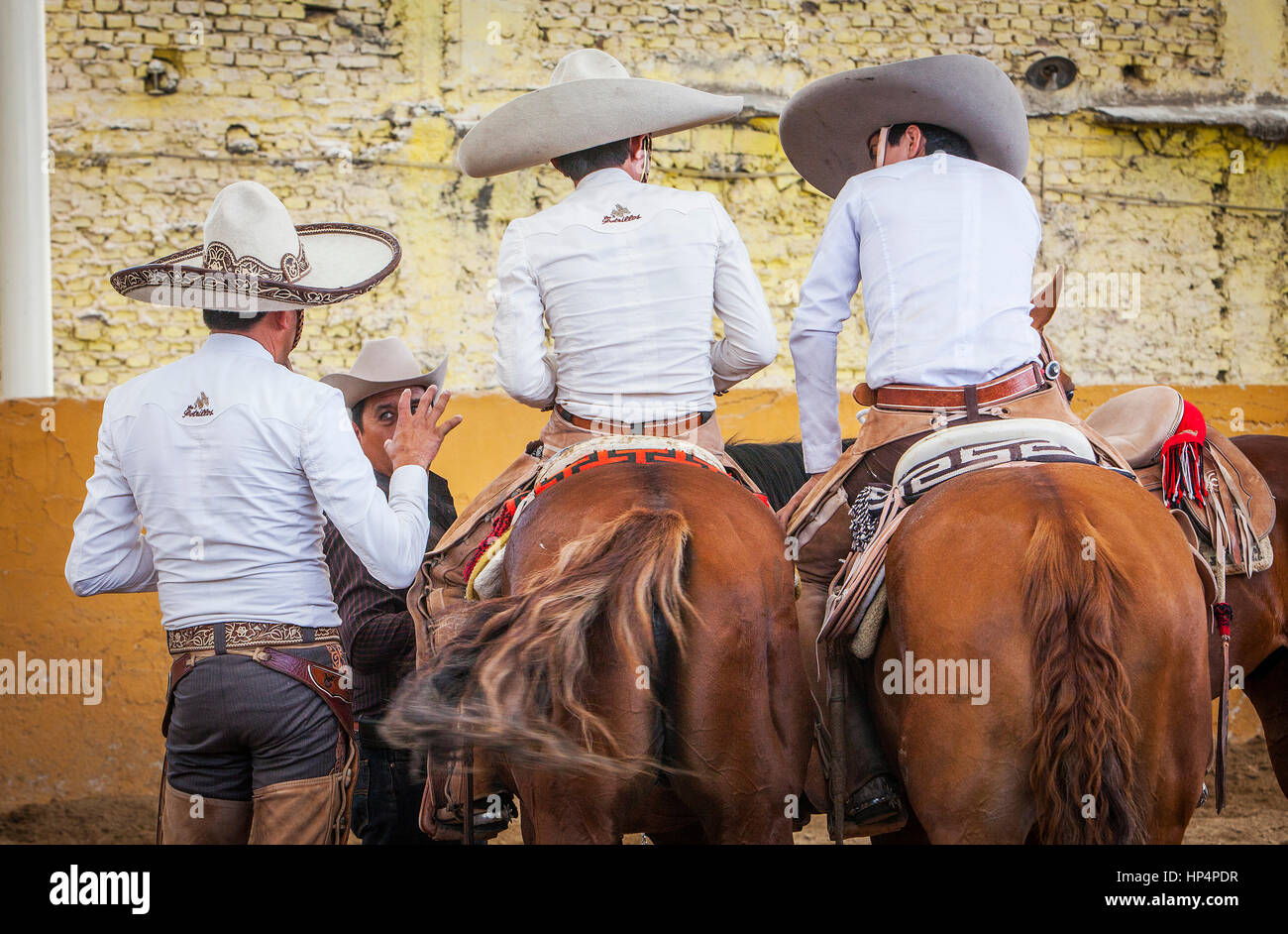 Charreada Stock Photos & Charreada Stock Images - Alamy
