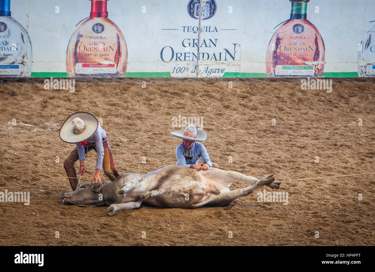 Charreada hi-res stock photography and images - Alamy