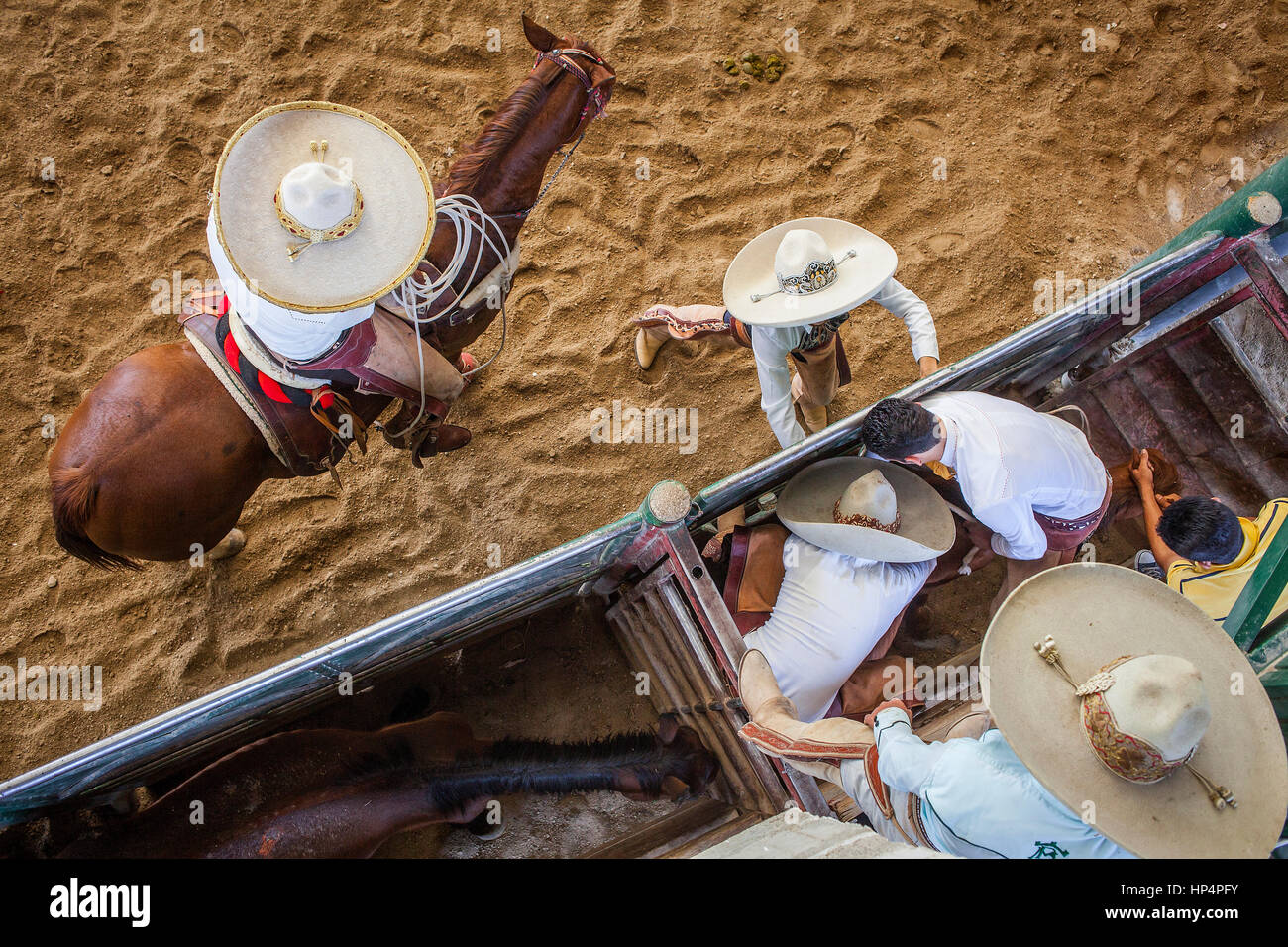 Charreada hi-res stock photography and images - Alamy