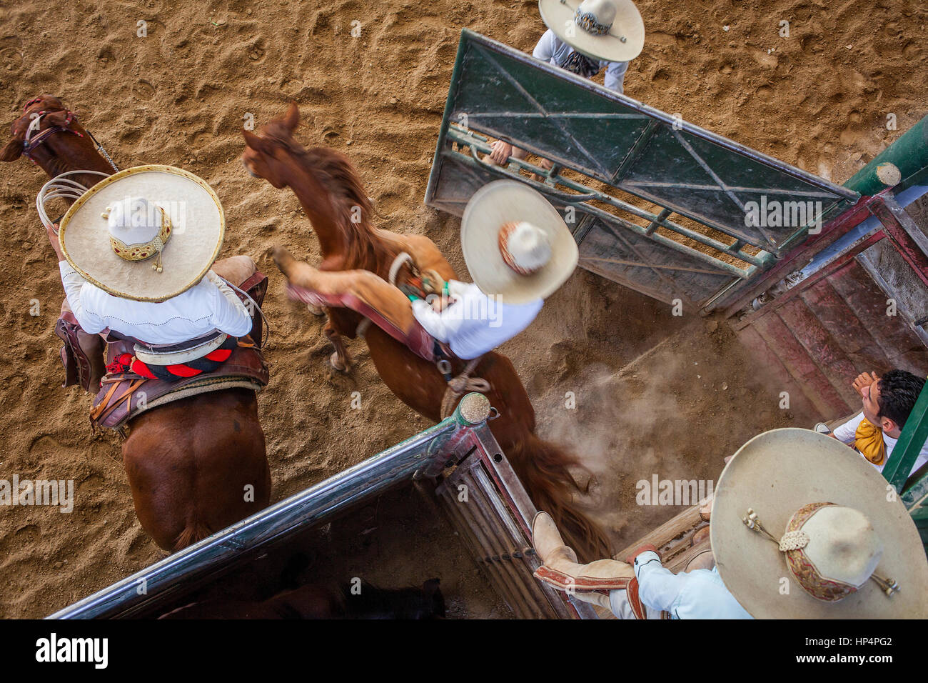 A charreada Mexican rodeo at the Lienzo Charro Zermeno, Guadalajara ...