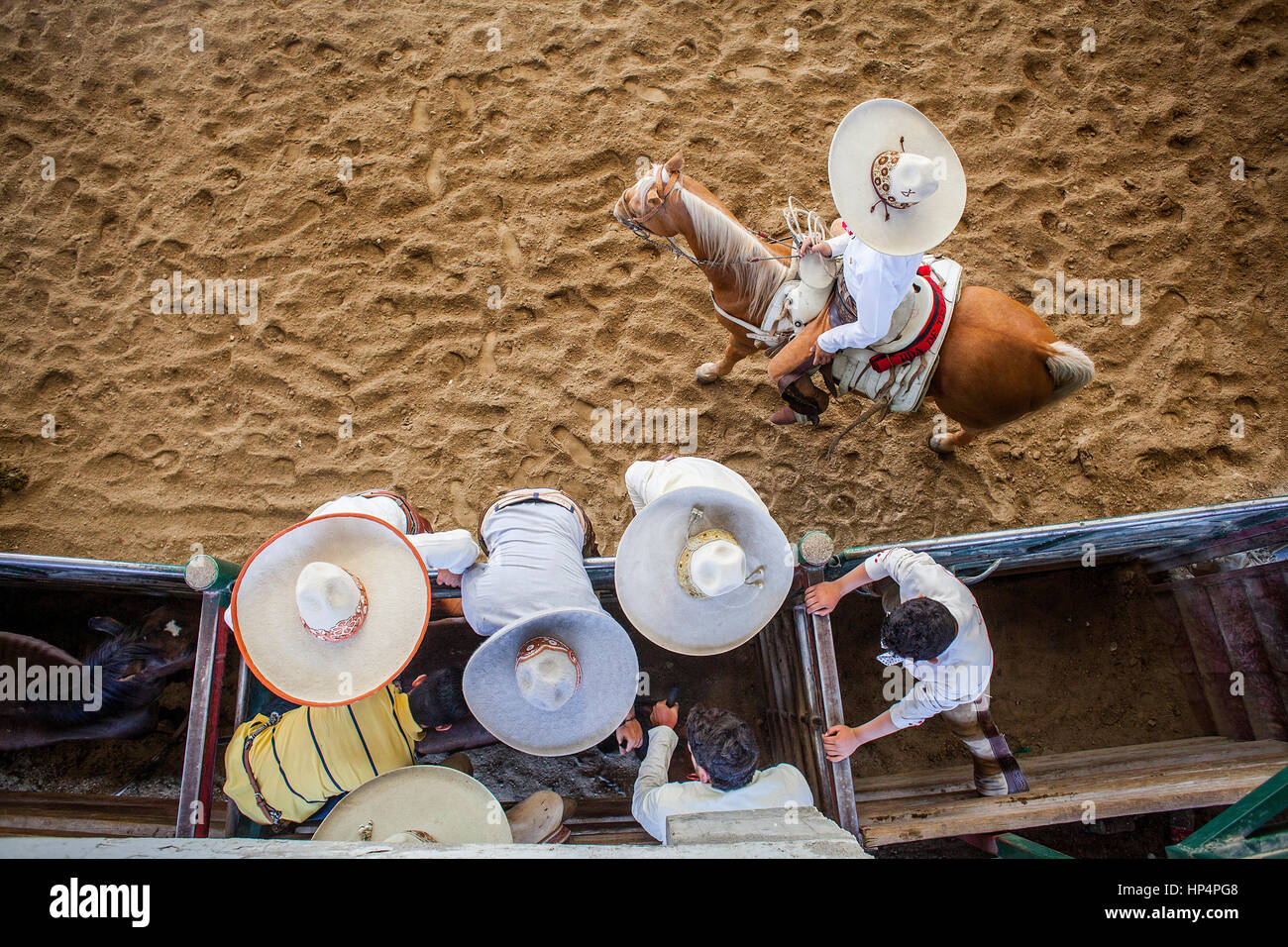 A charreada Mexican rodeo at the Lienzo Charro Zermeno, Guadalajara ...