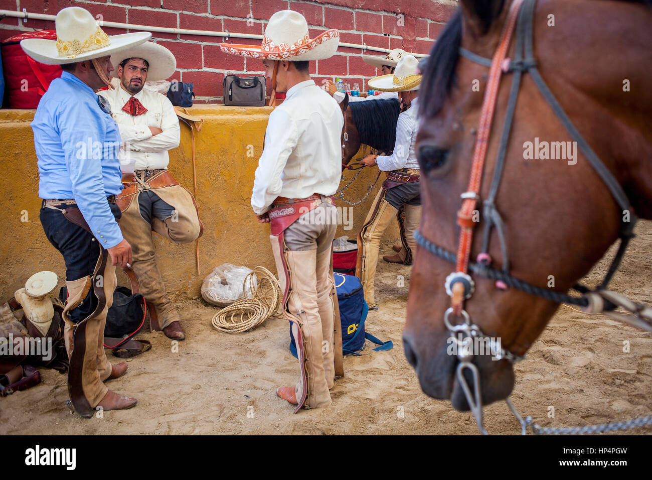 Charros in a charreada Mexican rodeo at the Lienzo Charro Zermeno ...