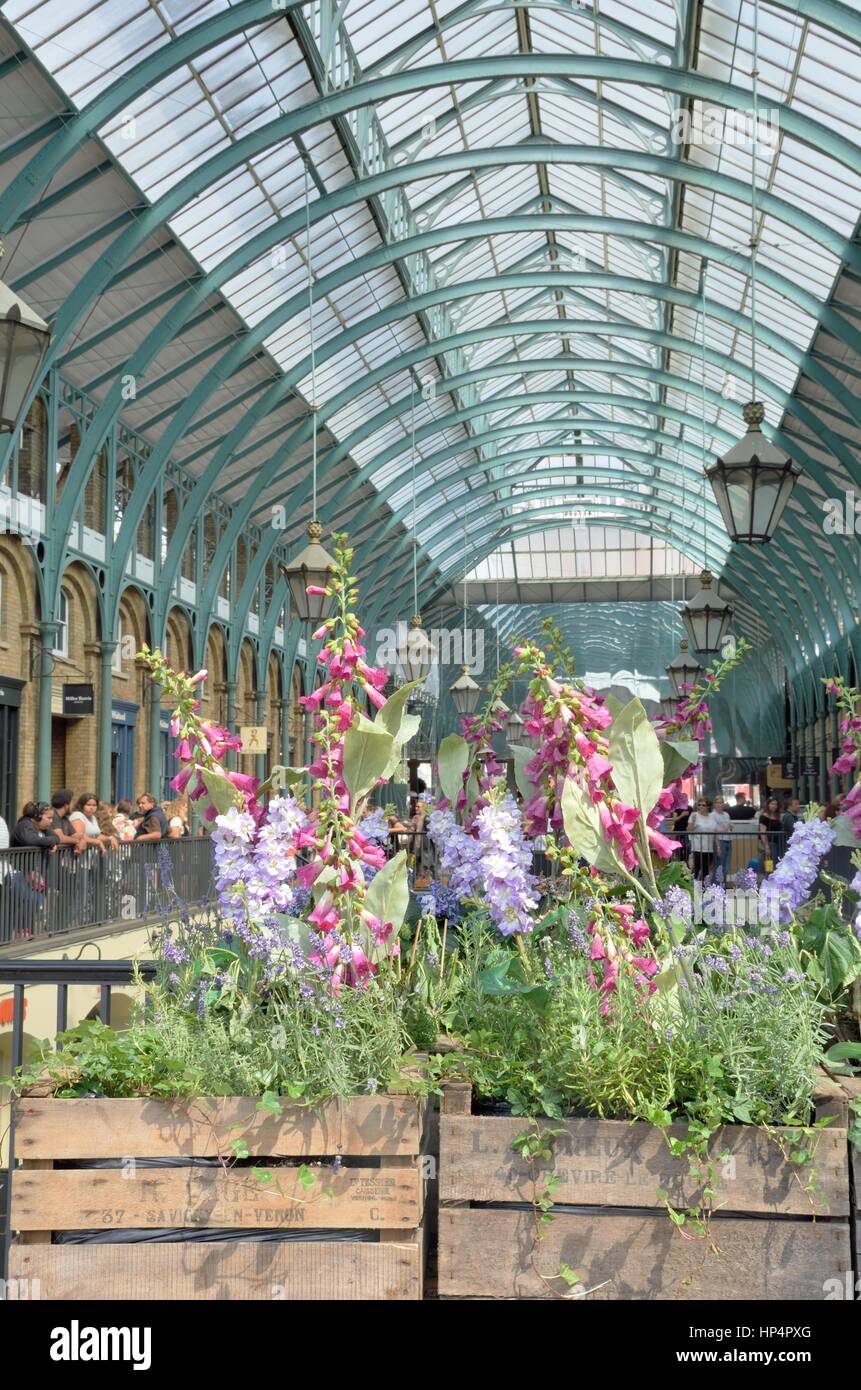 Covent Garden London England, United Kingdom - August 16, 2016: Central ...
