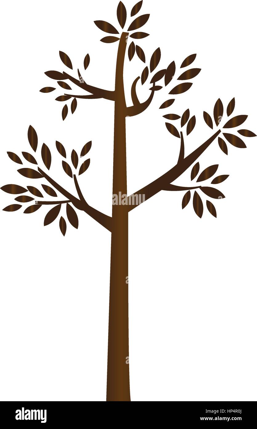 Forest Silhouette Tree Trunk High Resolution Stock Photography and ...