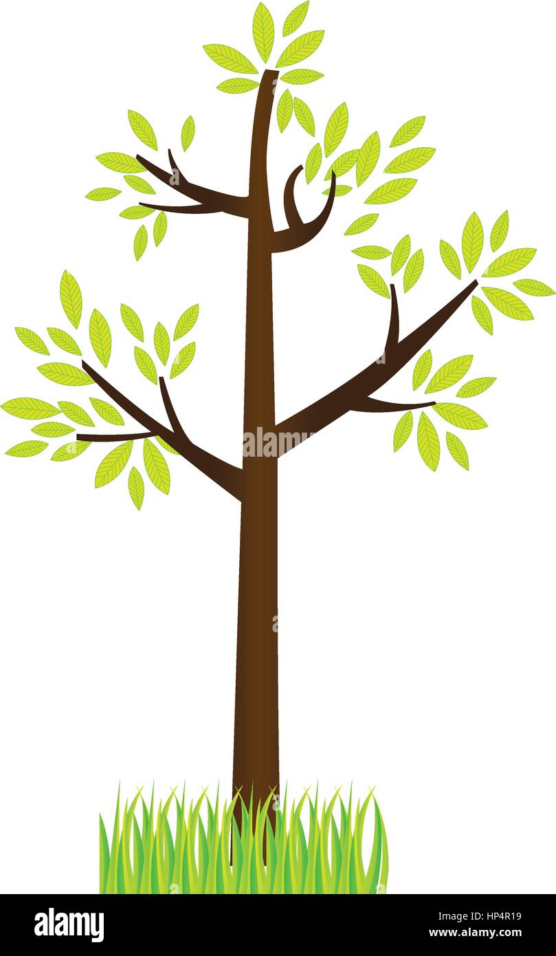 colorful silhouette tree leafy with bush Stock Vector Image & Art - Alamy