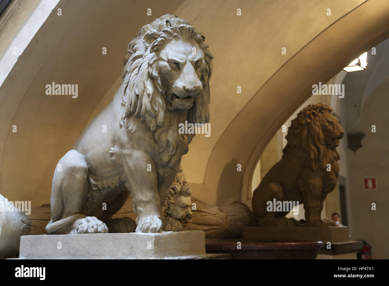 Lions in Florence Stock Photo - Alamy