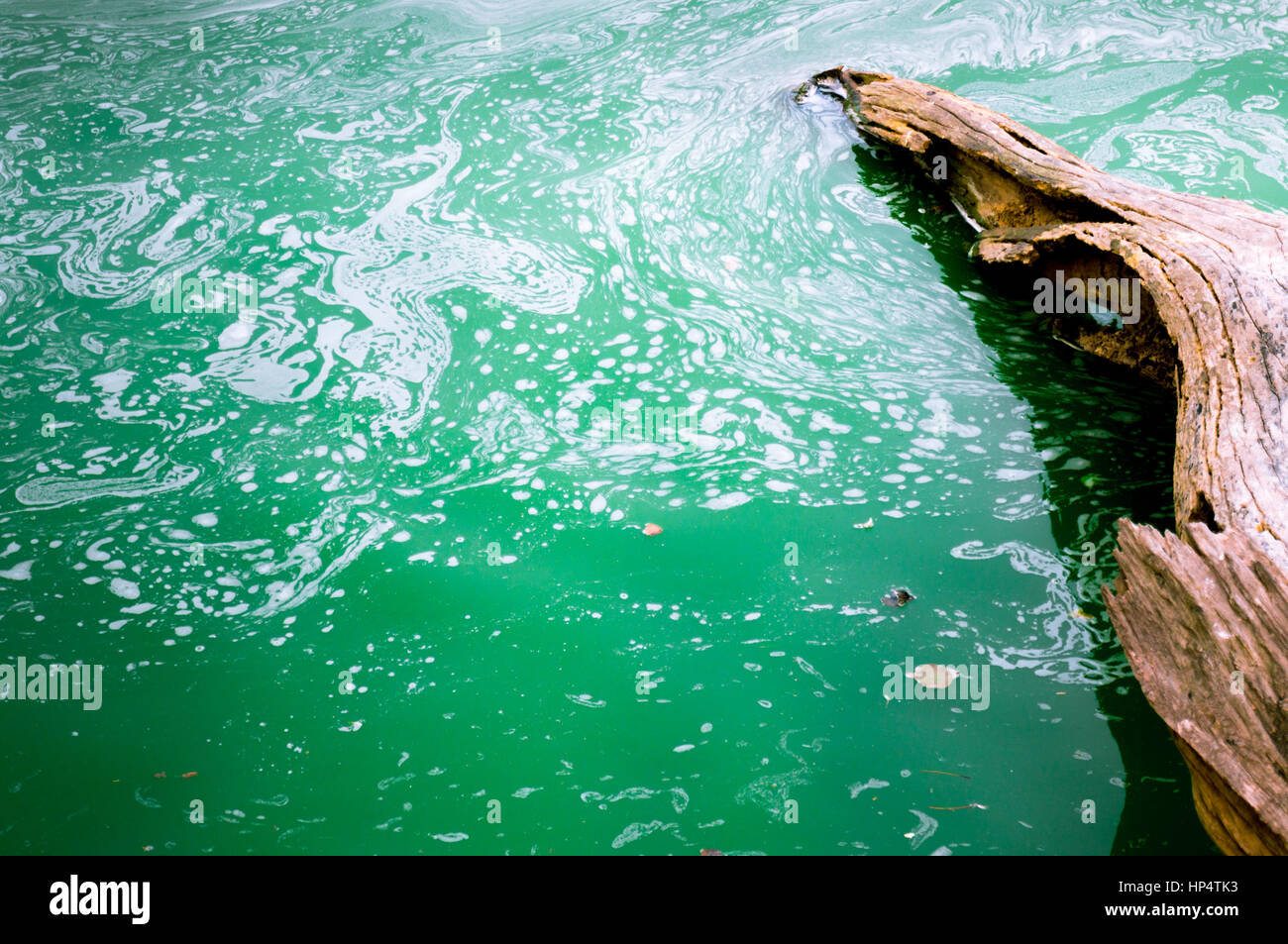 Log Floating In Water High Resolution Stock Photography and Images - Alamy