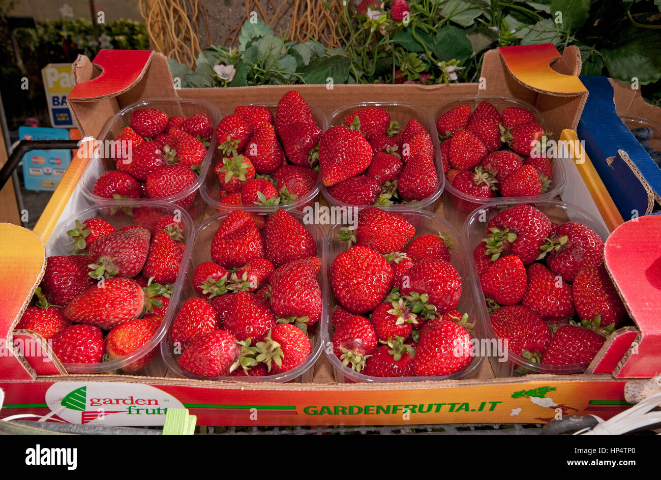 Village fruits hi-res stock photography and images - Alamy