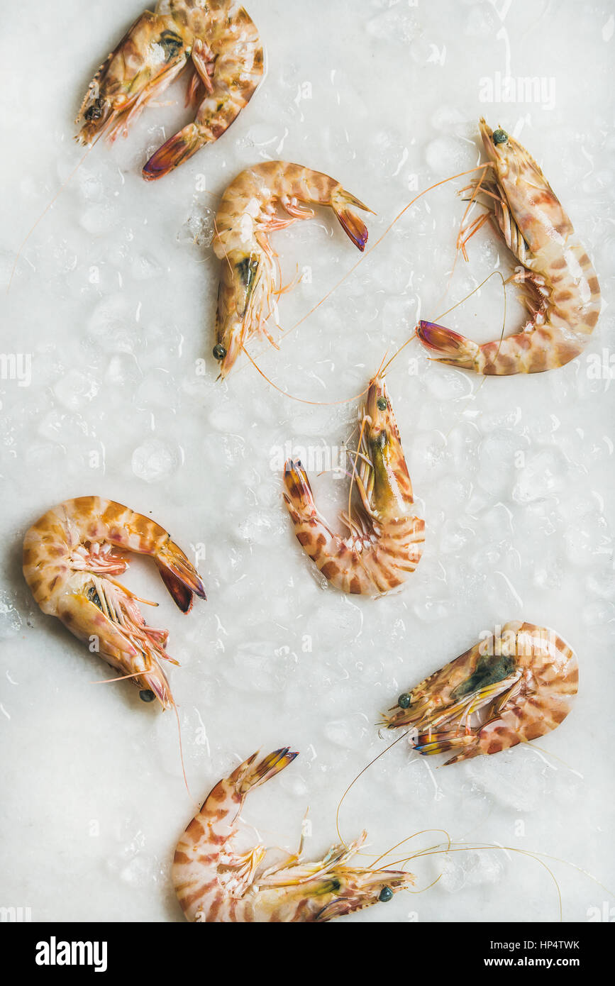 Fresh Prawns In Water
