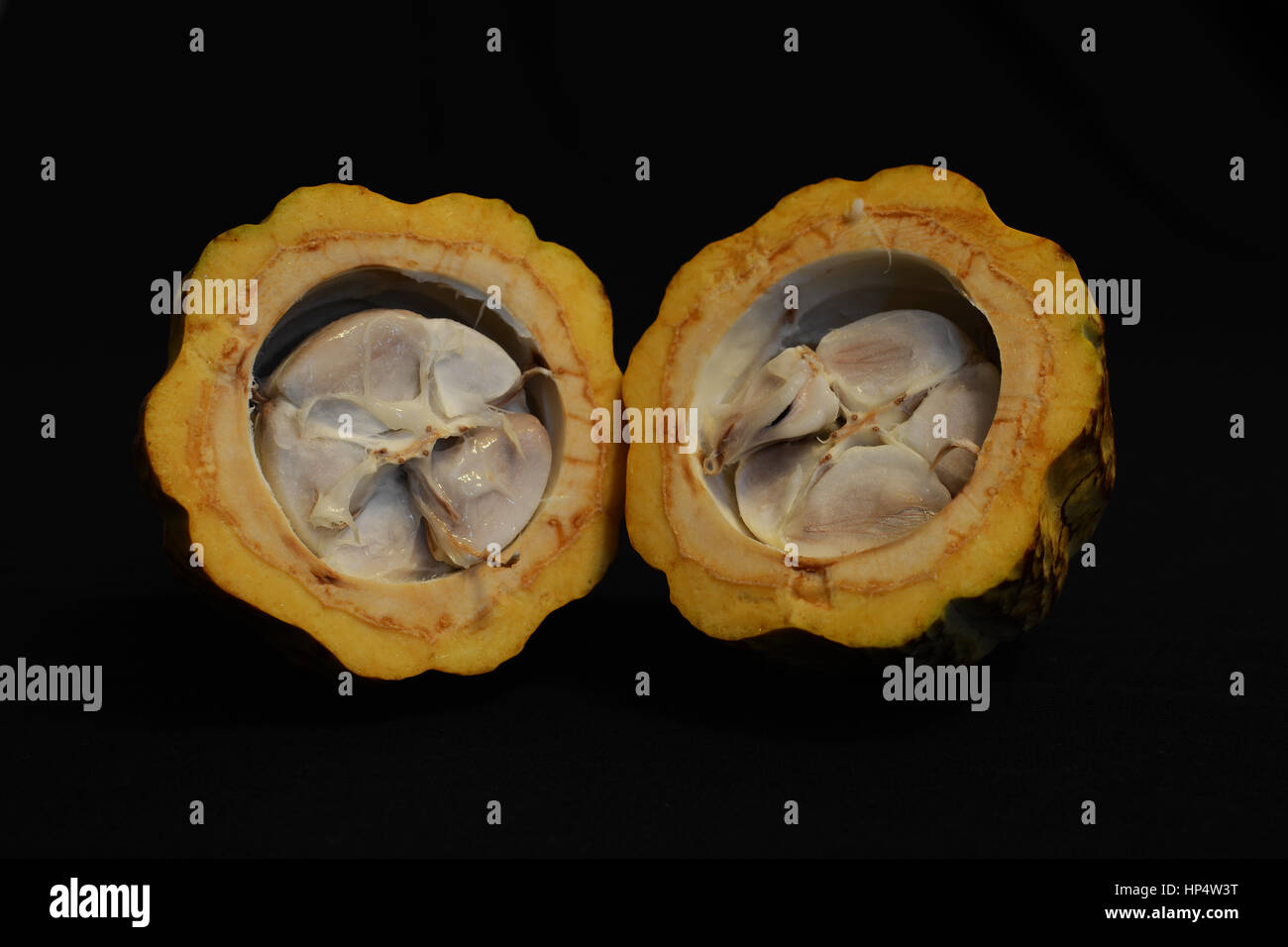 Cocoa pod and seed hi-res stock photography and images - Alamy