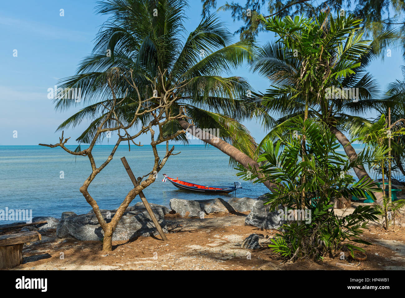Empty beach and palm trees, Thailand, Samui Stock Photo - Alamy