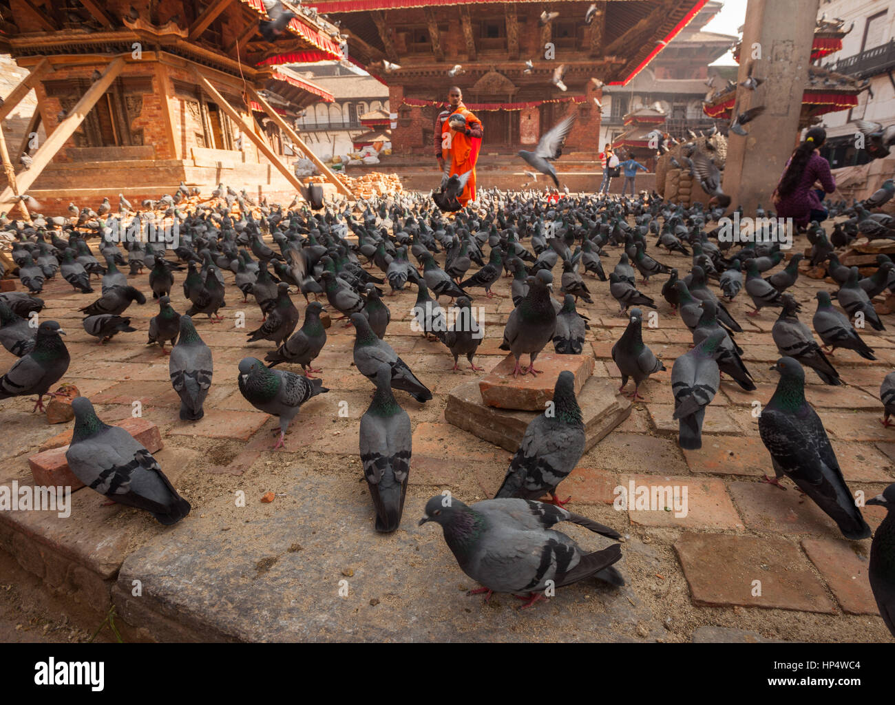 Monk and pigeons hi-res stock photography and images - Alamy