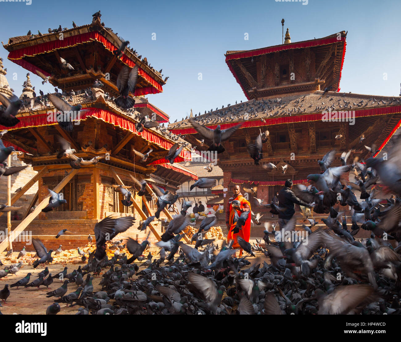 Buddhist monk and pigeons hi-res stock photography and images - Alamy