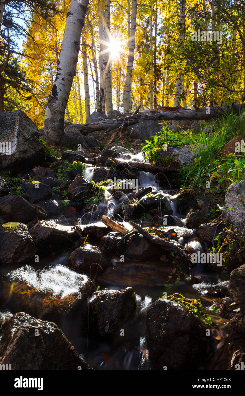 Fall and Autumn Detail Stock Photo - Alamy