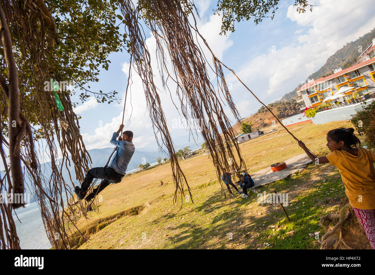 Boys swing from vines hanging from a tree near the edge of Phewa (Fewa ...