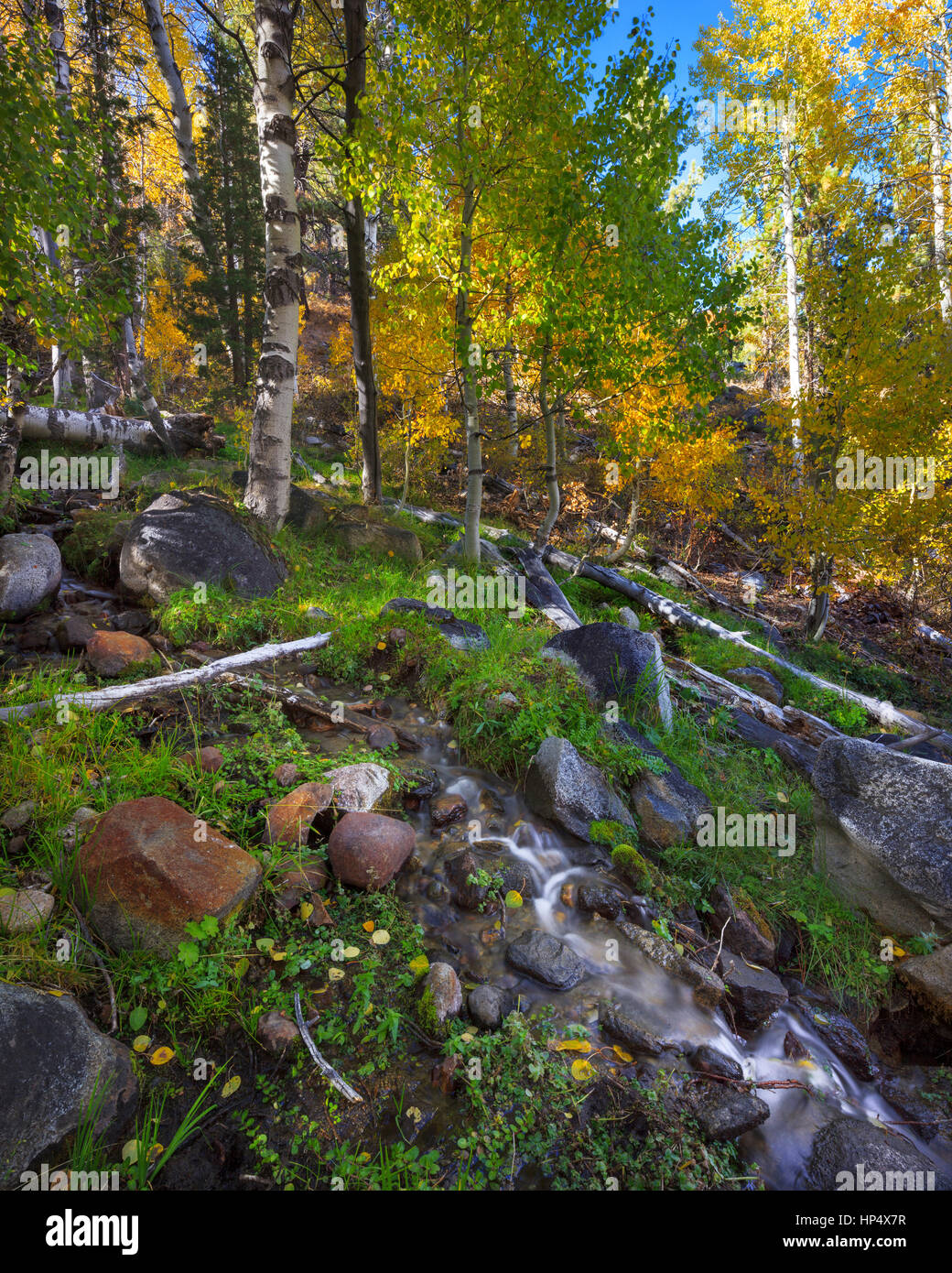 Fall and Autumn Detail Stock Photo - Alamy