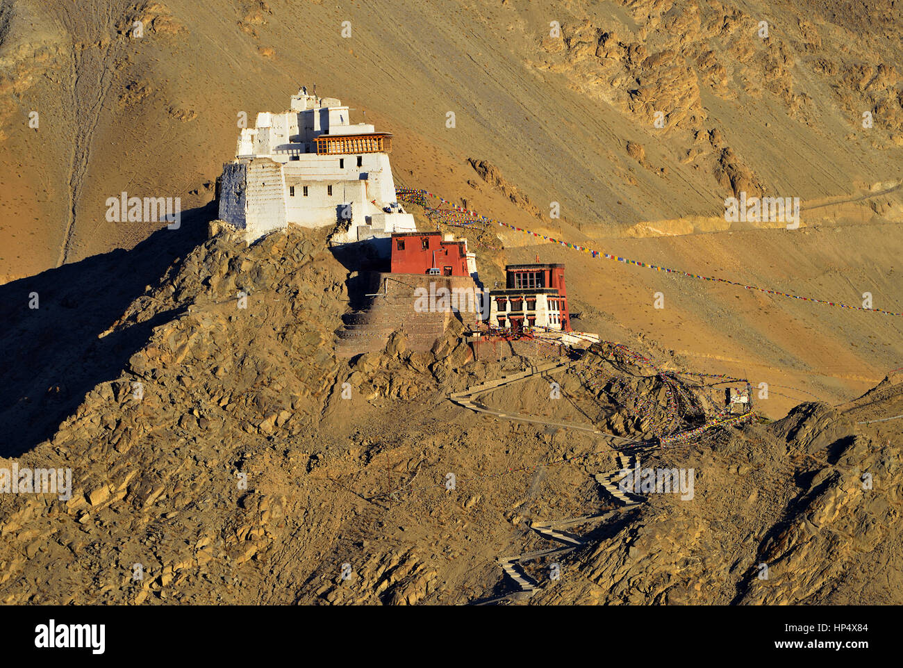 Namgyal Tsemo Monastery in Leh, Ladakh, India Stock Photo - Alamy