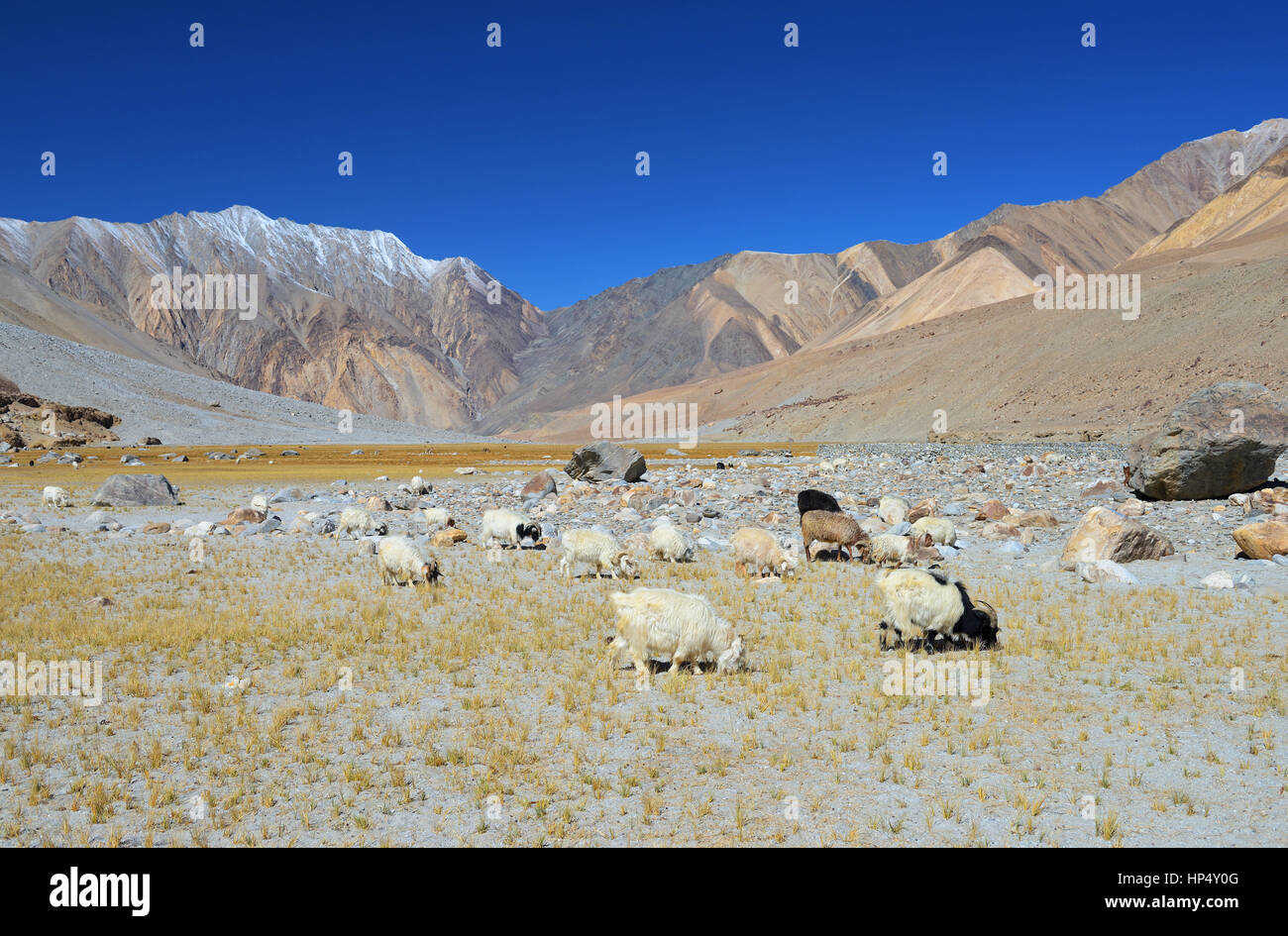 Very dry landscape hi-res stock photography and images - Alamy