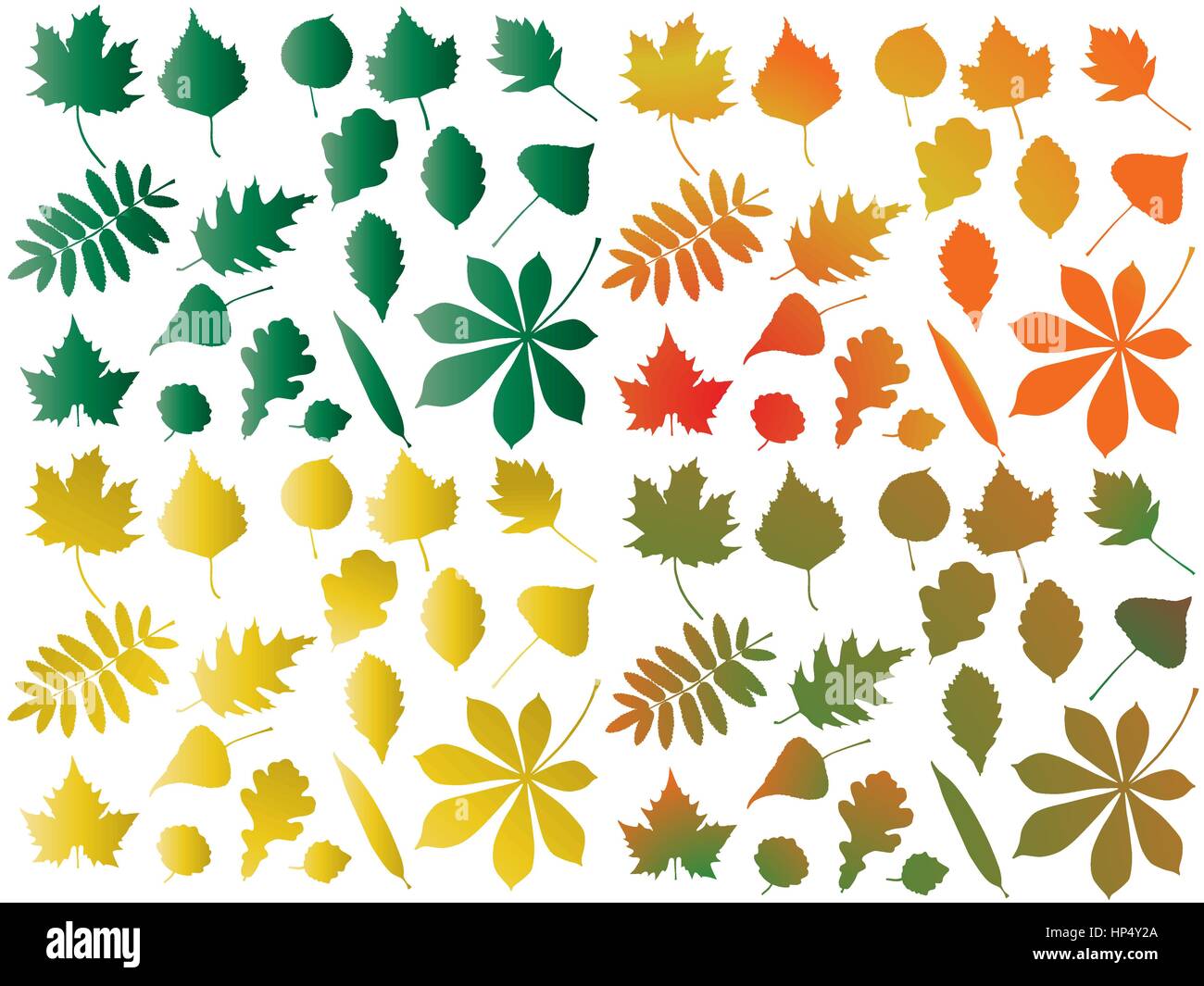 Painting autumn foliage in Stock Vector Images - Alamy