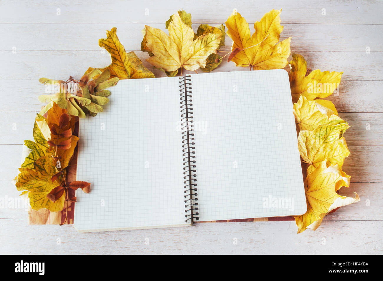 Yellow maple leaves on top and notebook lying Stock Photo - Alamy