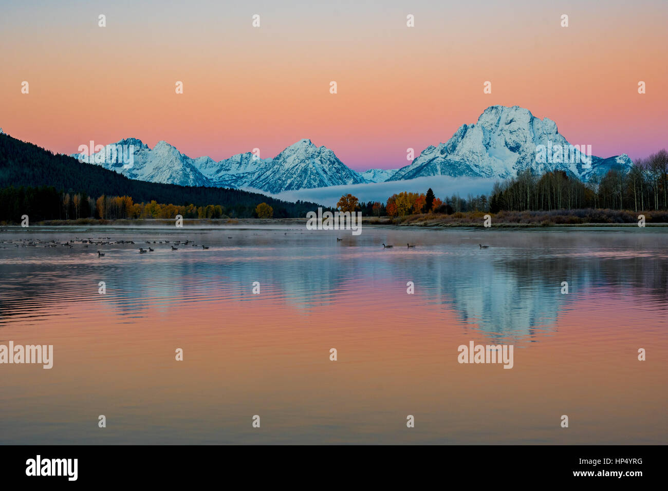 The Iconic and Extremely Beautiful Oxbow Bend at Dawn Stock Photo - Alamy