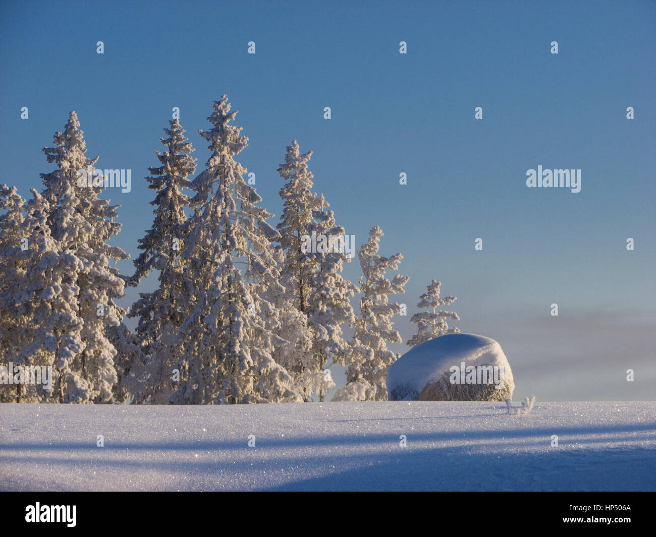 White crumbly rock texture hi-res stock photography and images - Alamy