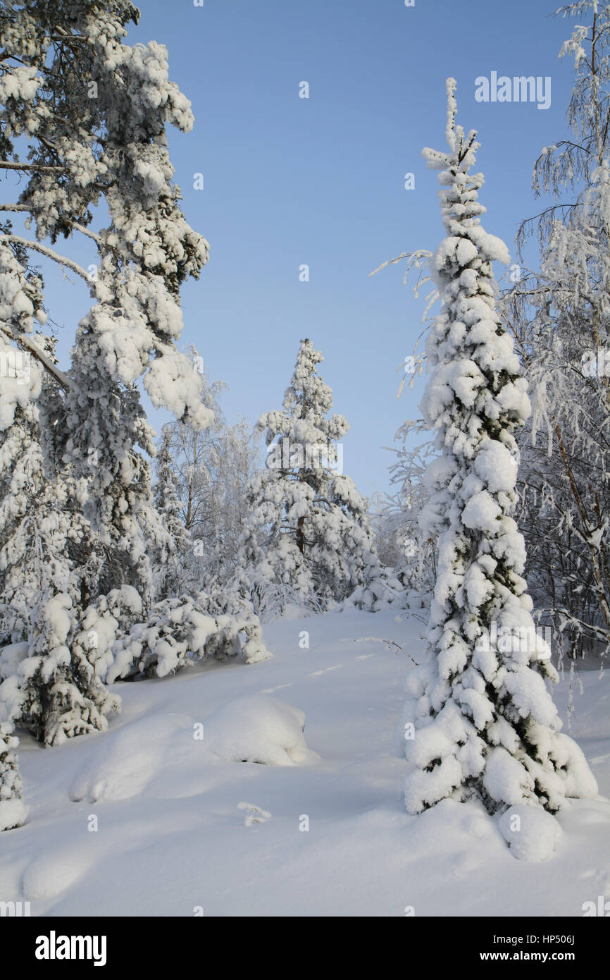 Load powder hi-res stock photography and images - Alamy