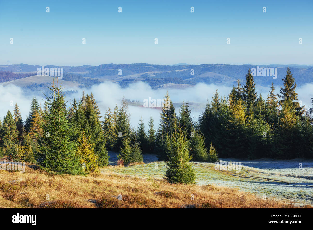 Winter landscape glowing by sunlight. Dramatic scene. Scenic fog Stock ...