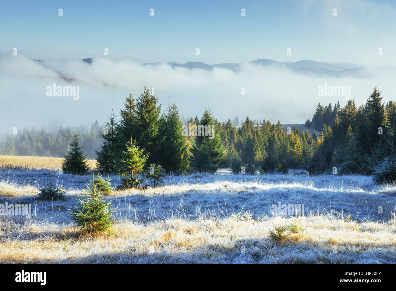 Winter landscape glowing by sunlight. Dramatic scene. Scenic fog Stock ...