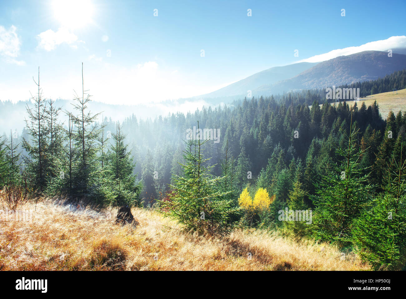 Winter landscape glowing by sunlight. Dramatic scene. Scenic fog Stock ...