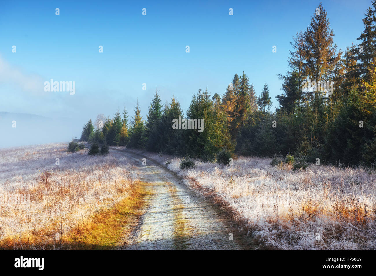 First snowy days hi-res stock photography and images - Alamy