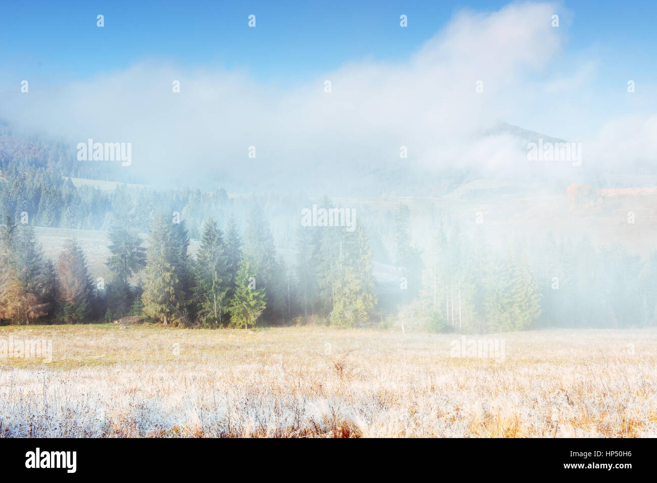 Winter landscape glowing by sunlight. Dramatic scene. Scenic fog Stock ...
