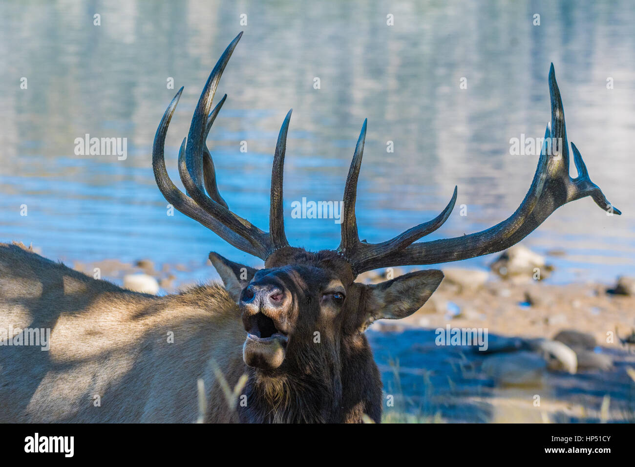Big game huning hi-res stock photography and images - Alamy Big game huning hi-res stock photography and images - Alamy